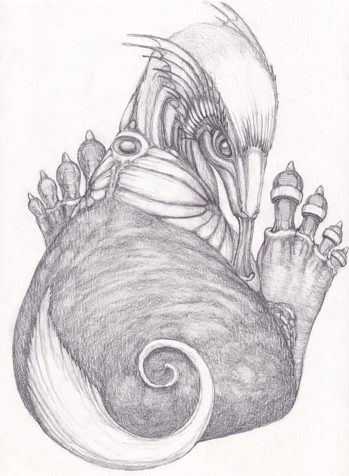 Create a creature illustration for you by Mesbera | Fiverr