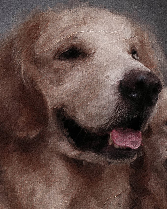 Make you foto into amazing oil paint canvas character by Comikan | Fiverr