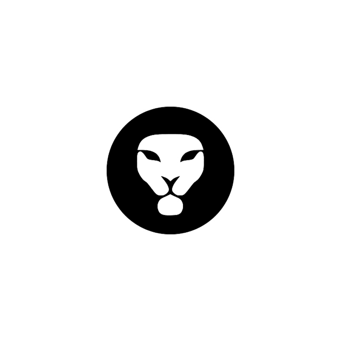Design a solid logo for your brand by Ioanefaumui | Fiverr