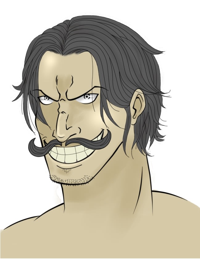 Draw portraits in one piece style by Matsjunk | Fiverr