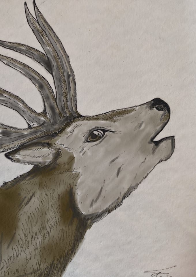 Draw your favourite animal by Ericmartellozzo | Fiverr