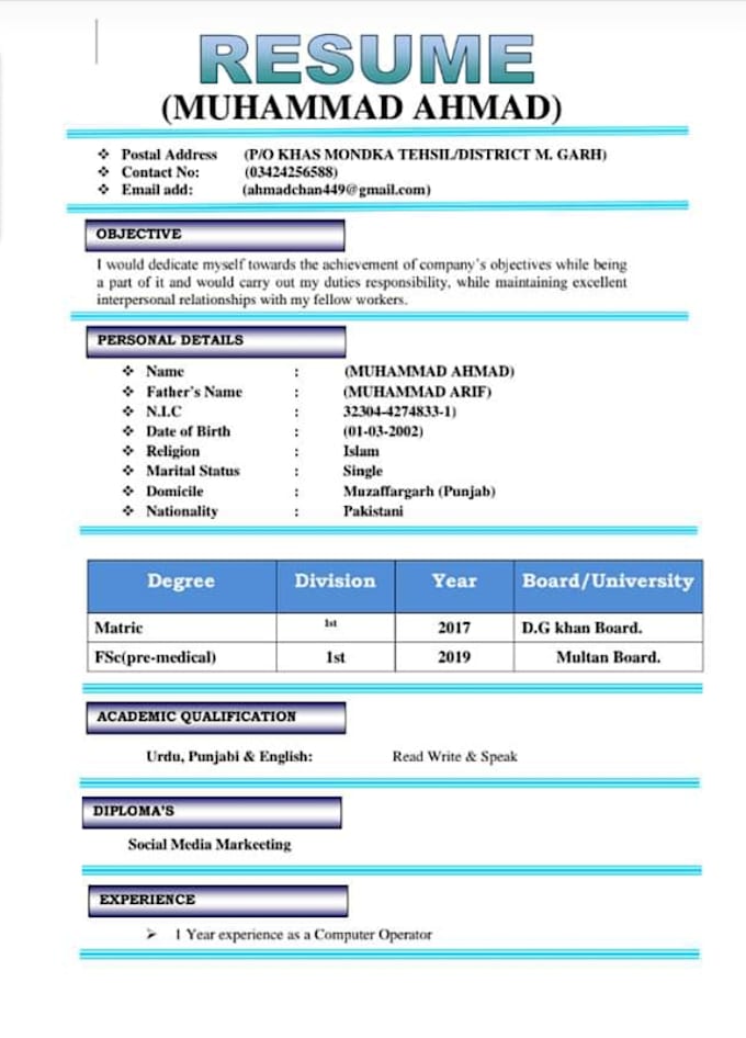 Write professional and modern eye catching resume by Dreamlandorg | Fiverr