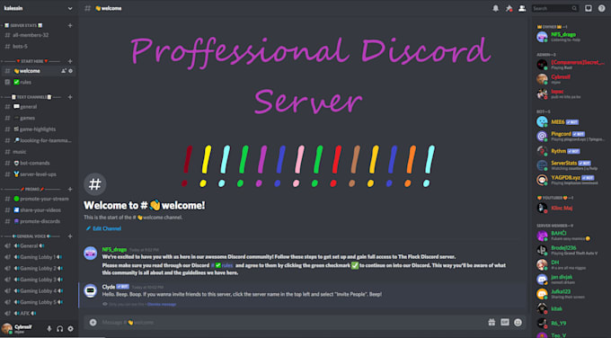 Create a good looking discord server for you by Nfs_drago | Fiverr