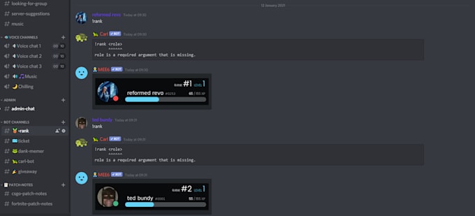 Proffessionally Set Up A Discord Server With Latest Mods By Revo1234
