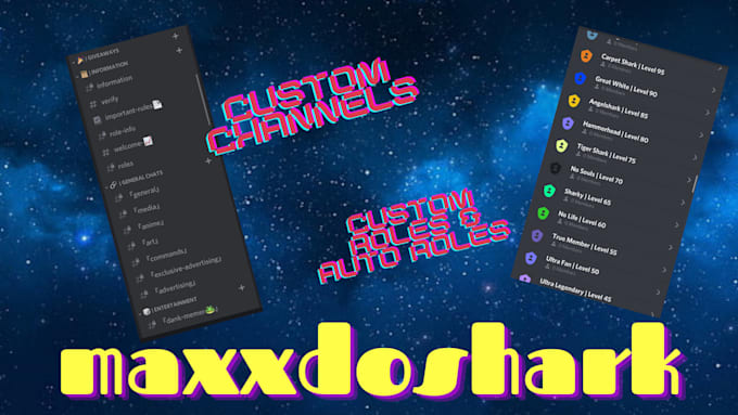 Create your professional discord server by Maxxdoshark | Fiverr