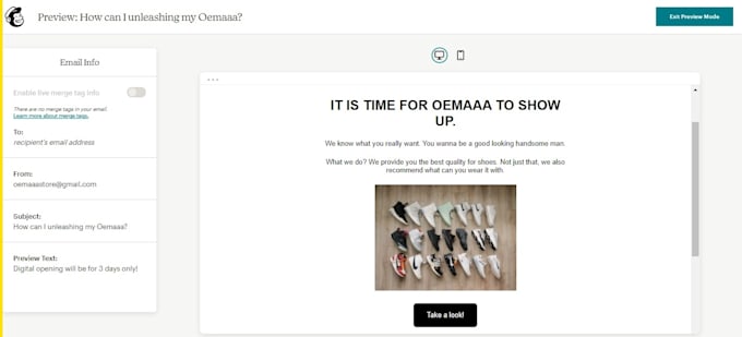 Design a catchy html email campaign with mailchimp by Omarrissam | Fiverr