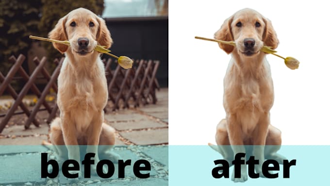 Change , transparent, image background removal ,cut out and photoshop ...