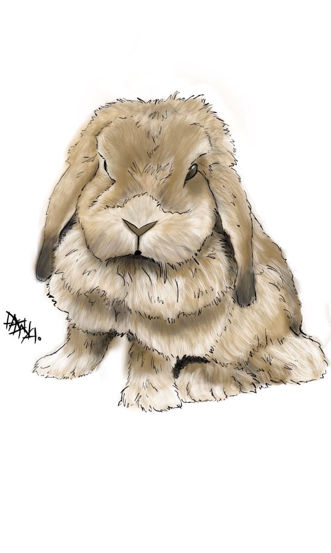 Draw illustration animal pet portrait by Daonysh | Fiverr