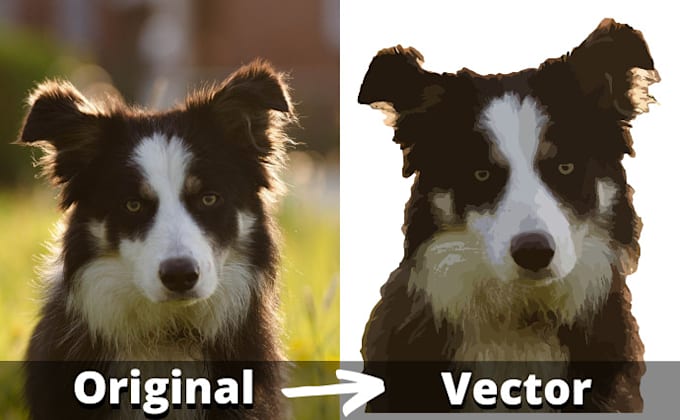 Convert amazing portrait image to vector art by Neverseepixel | Fiverr