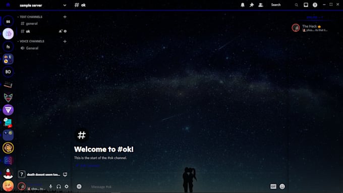 Make You A Custom Discord Theme By The Tech Person Fiverr