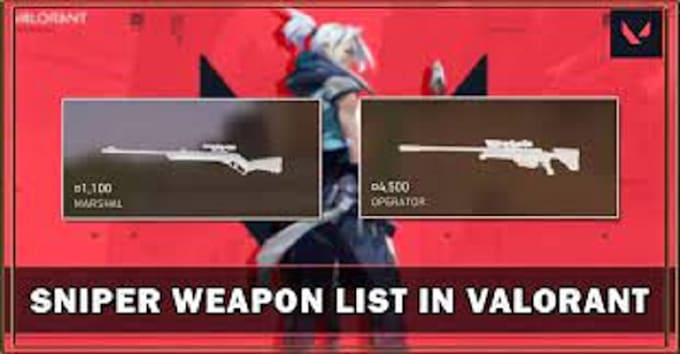 Code a script for valorant by Christriste | Fiverr