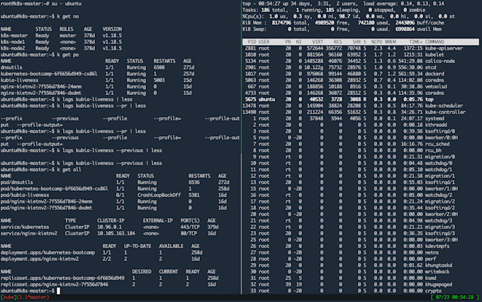 Troubleshoot small issues on your linux machine by Nhatsangvn | Fiverr
