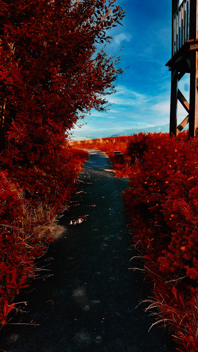 Do more advanced stuff like photo manipulation to enhancing photos by ...