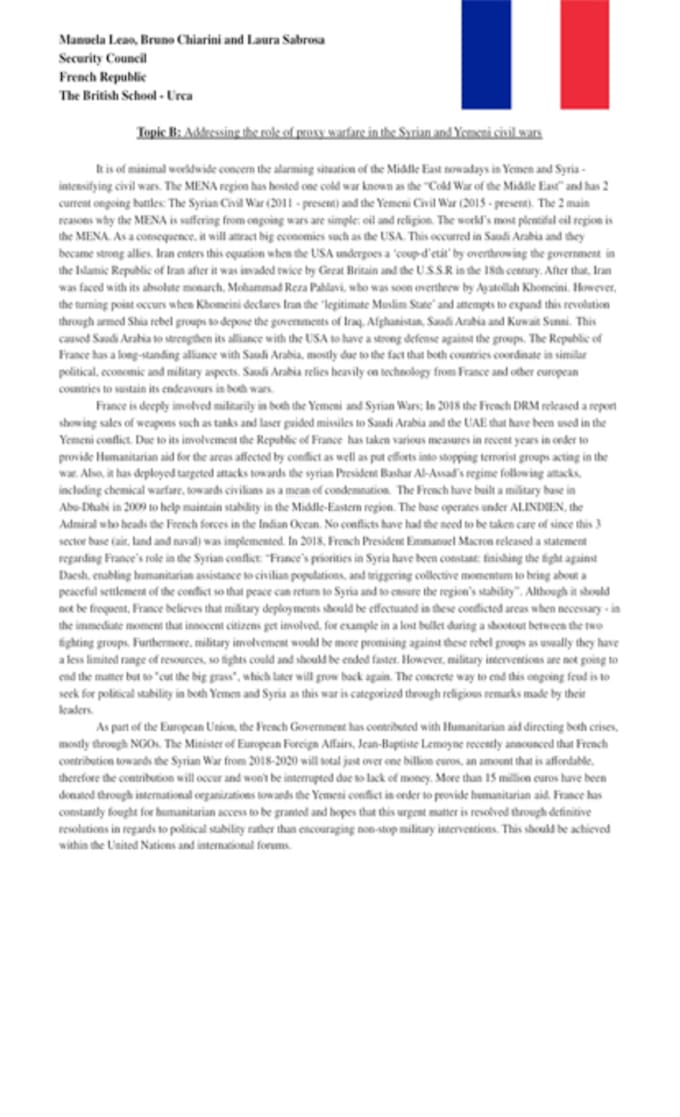 Help you write outstanding model un position papers by Manupleao | Fiverr