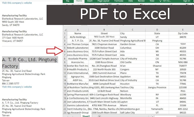 Extract Data From Doc Pdf Excel Using Python By Gullhaider Fiverr