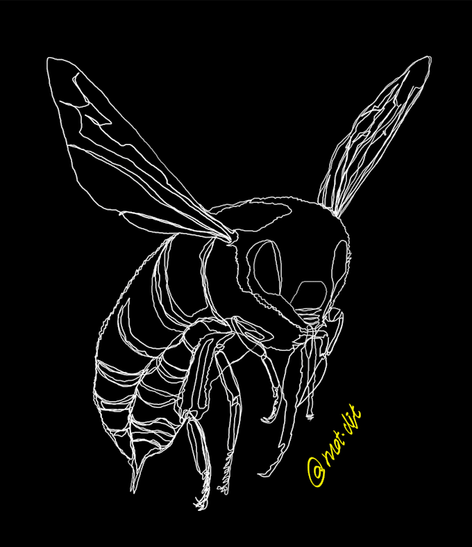 Create and recreate great line arts by Roby9908 | Fiverr