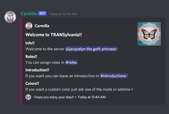 Make You A Discordjs Bot By Jacquelyncode Fiverr