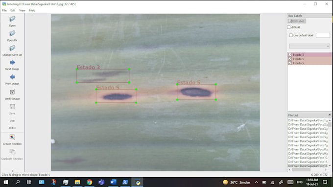 Collect And Label Object Detection Dataset By Gbstates3 Fiverr