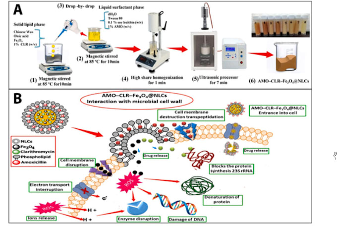 Create biology illustration, figure and poster by Iamsuwaib | Fiverr