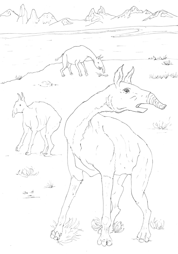 aardvark coloring pages