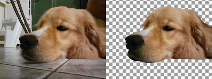 Isolate subjects within images by removing the background by Ethanwcy ...