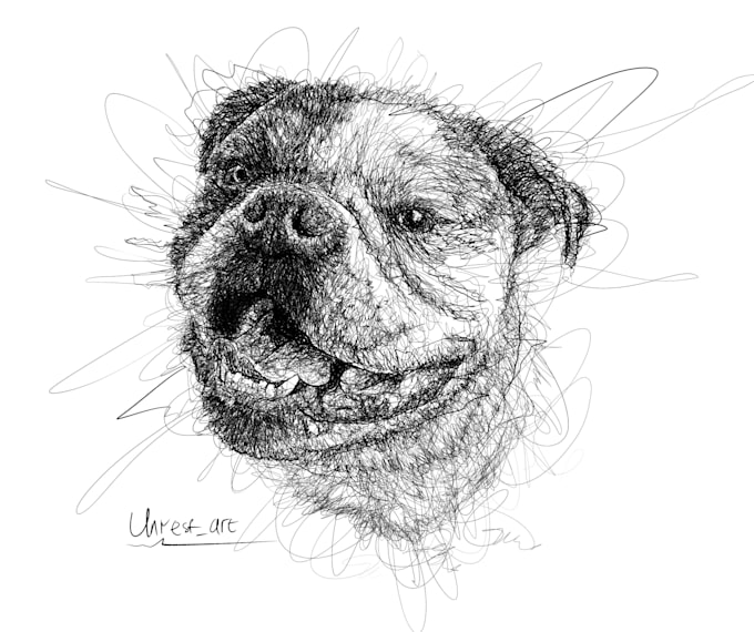 Draw your animals and pets in my scribble art style by Choirulmizone ...