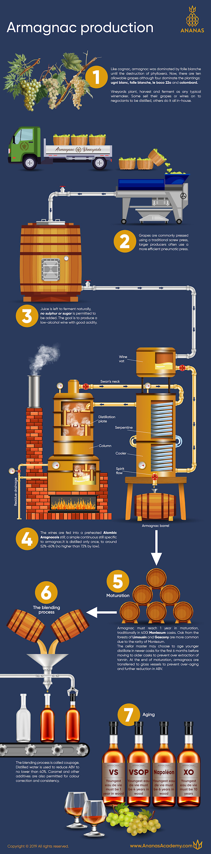 Create an infographic that helps explain your ideas or product by ...