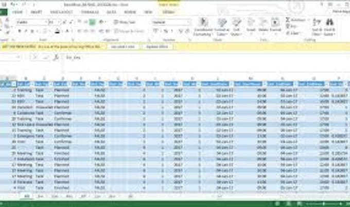 Virtual assistant for excel data entry by Cerenkislar | Fiverr