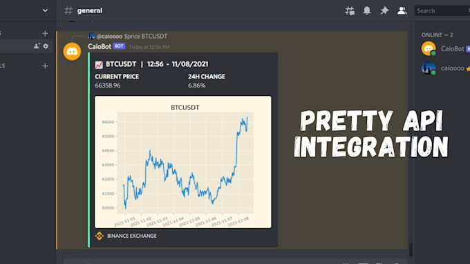 Create you an awesome discord bot with python by Caioom | Fiverr