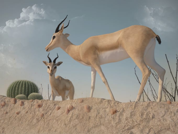 Turn your real or imaginary animal to 3d model by Issgarra | Fiverr