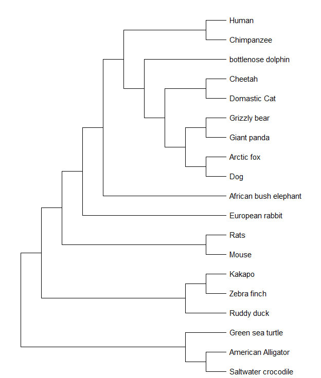 Assist in construction of phylogenetic tree in mega 11 by Ahmadmalik99 ...