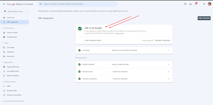 Fix google index error coverage errors in search console by Umarfaruk730 | Fiverr