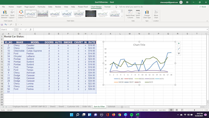 Organize your excel sheets by Abhinav_katiyan | Fiverr