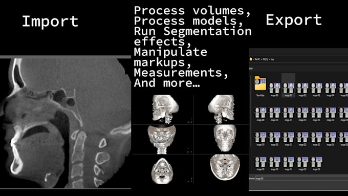 Create custom scripts to automate 3d slicer by Jeffzeyl | Fiverr