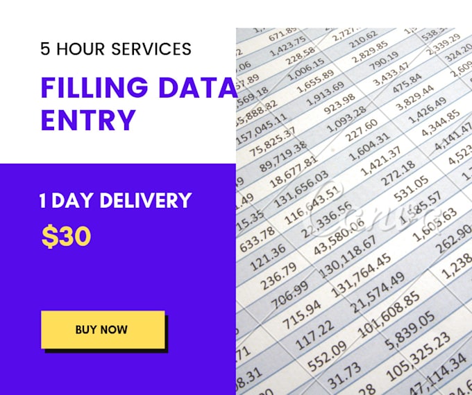 Manage data entry in ms excel sheet by Harshchauhan471 | Fiverr
