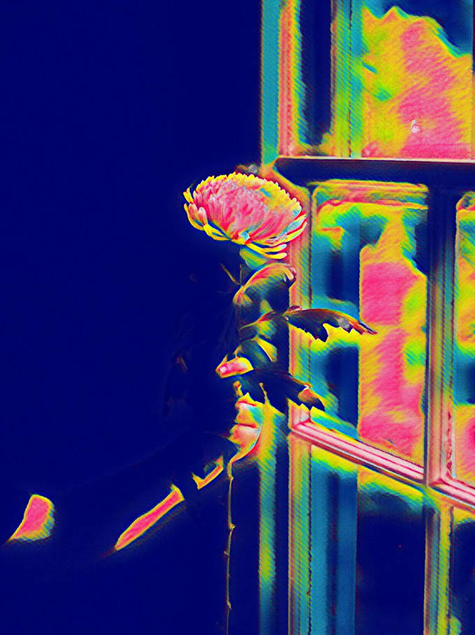 Create nice nft design for you by Himanshiga | Fiverr