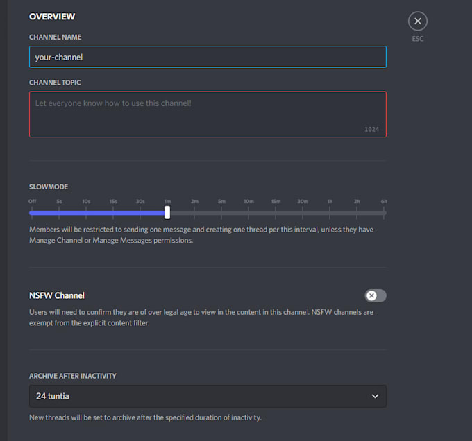 Create you awesome discord server by Pinkleds | Fiverr