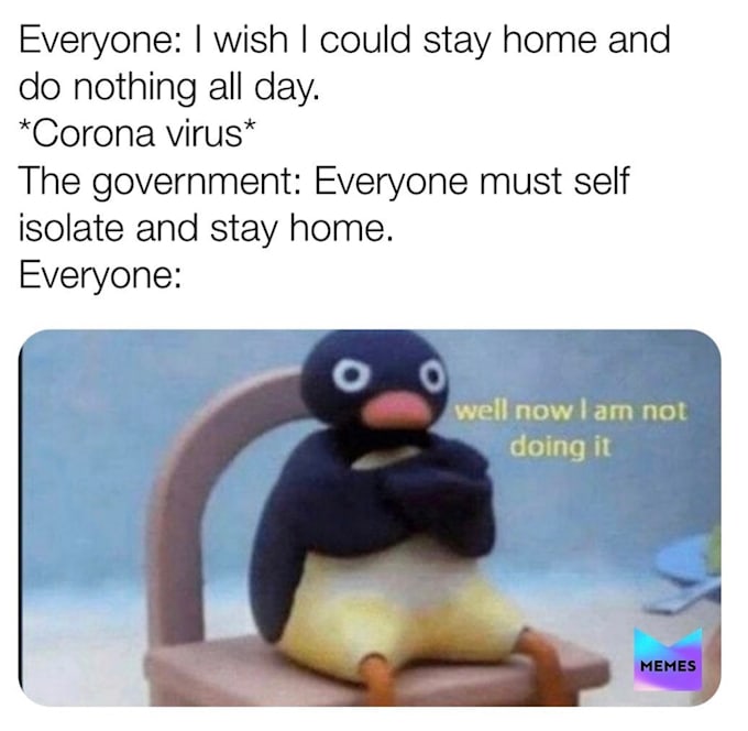 Make funny relatable memes by Write4uadam | Fiverr