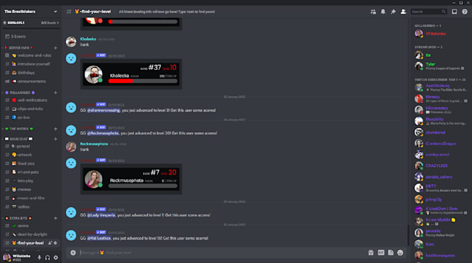 Setup your discord server with reaction roles by Willakimbo | Fiverr