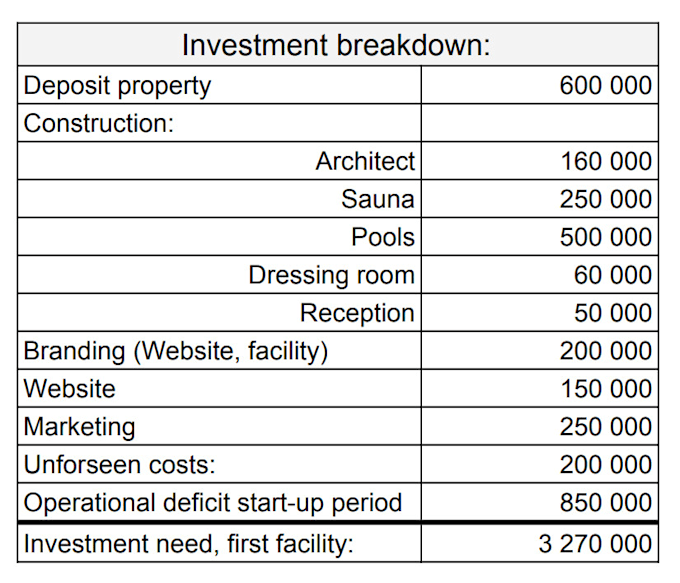 Build you a investor friendly business plan by Rfridberg | Fiverr
