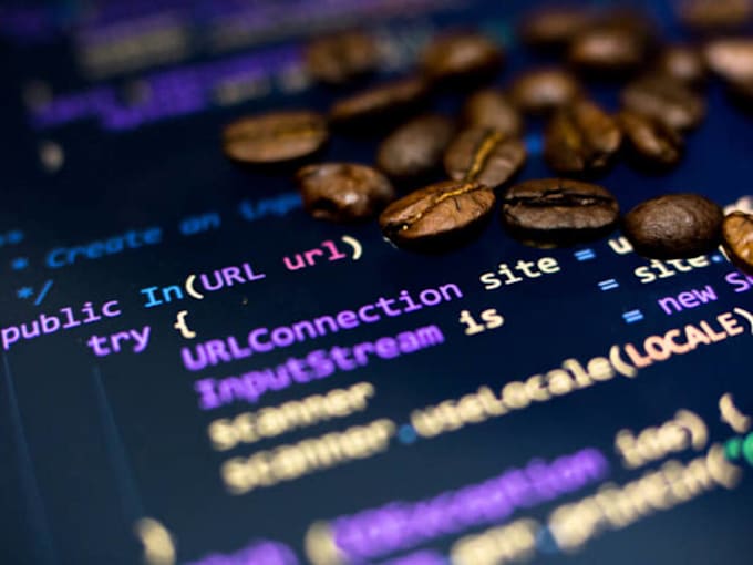 Do python basics and web development task by Vipulkunwar | Fiverr