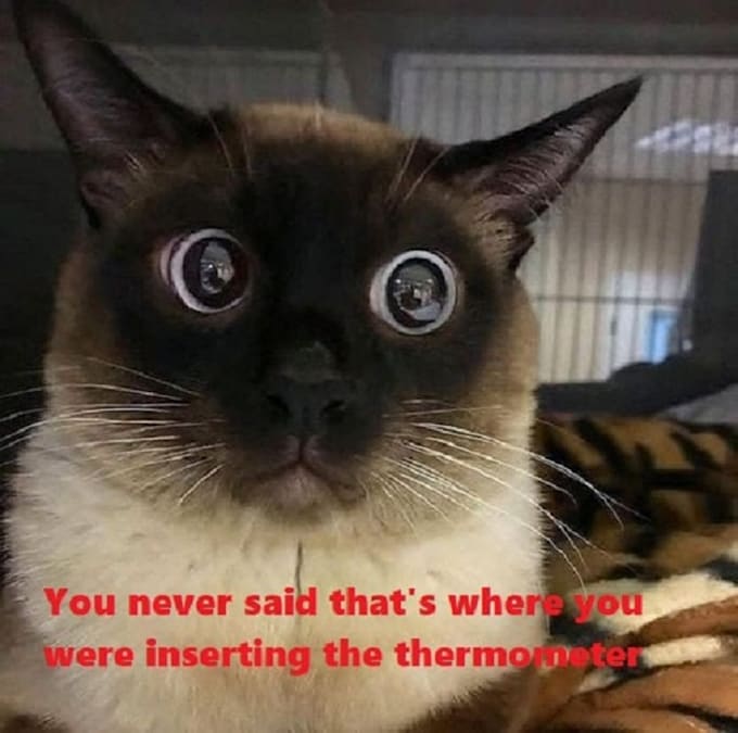 Create a custom meme from your photo by Iwaslookin4that | Fiverr