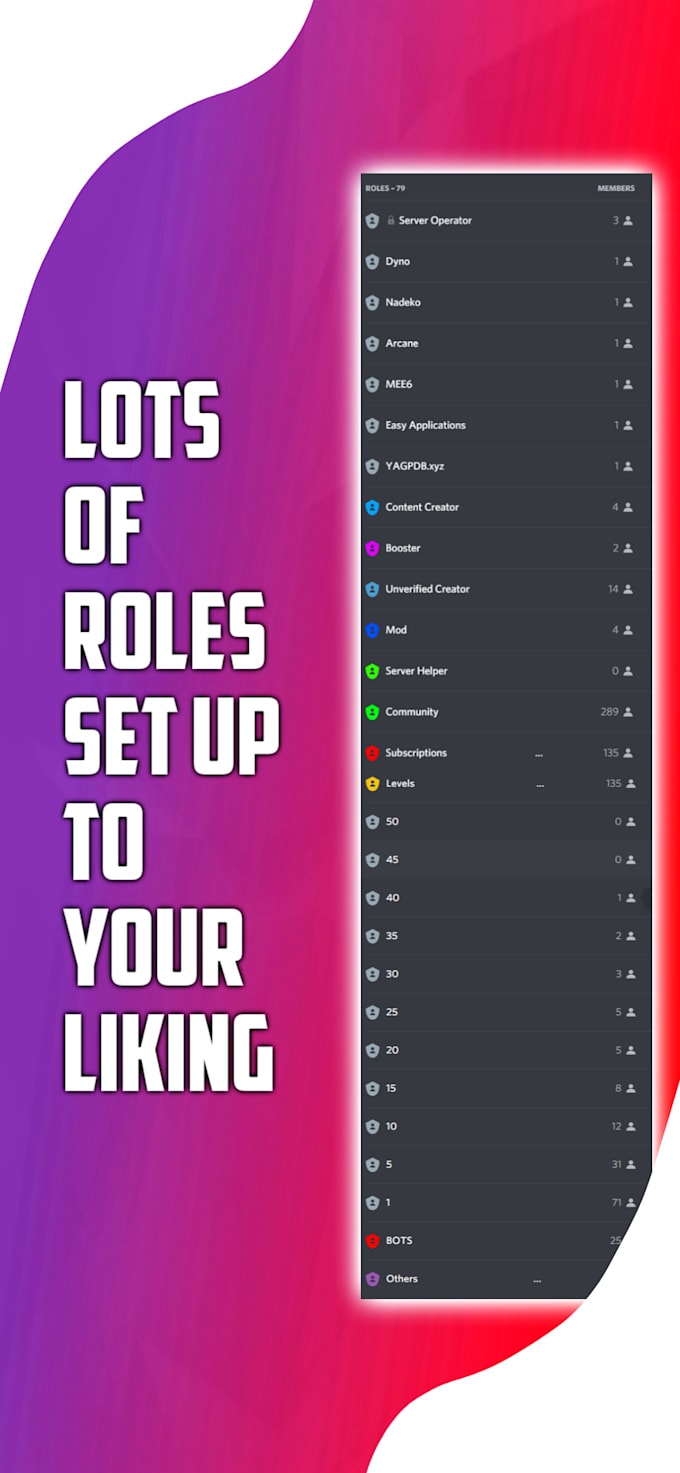 Create and build the best discord server for you by Kroliks | Fiverr