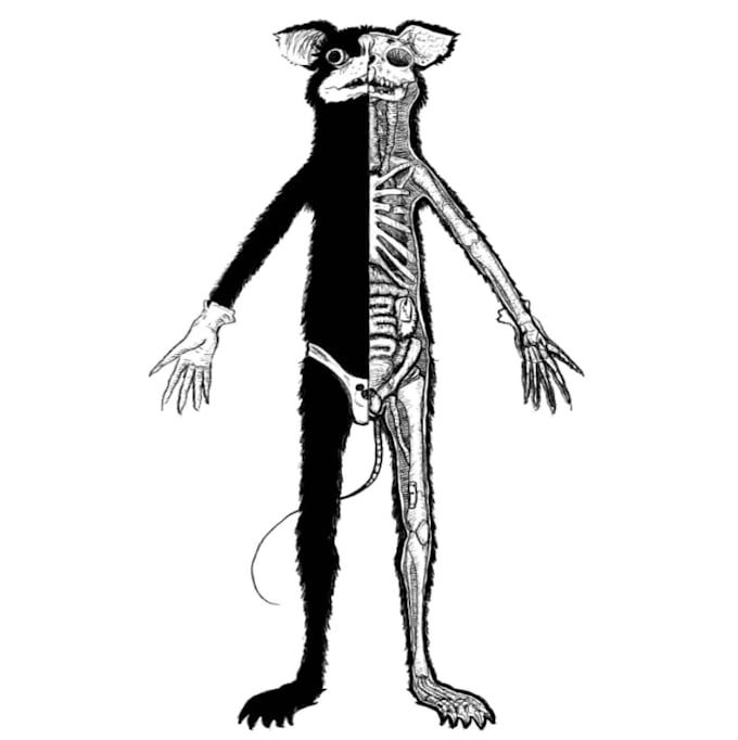 Draw grotesque and funny artworks with animal or human characters by ...