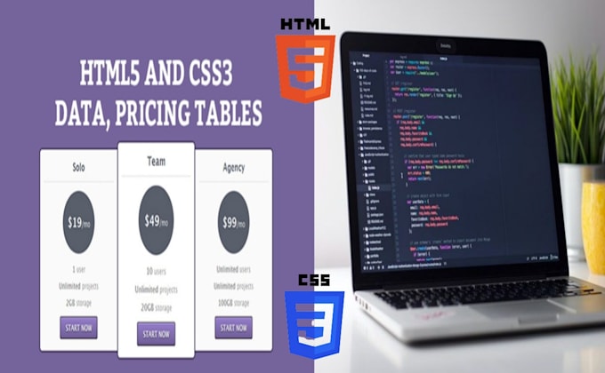 Create Professional Tables Pricing And Comparison Tables Using Html And Css By Nomanali2002