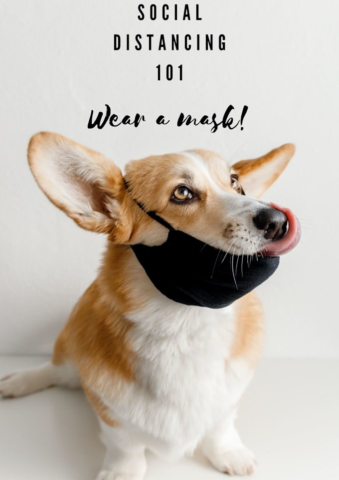 Create colourful, stand out posters by Careece | Fiverr