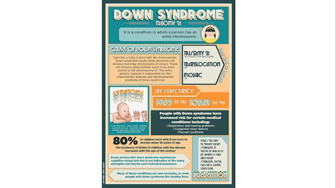 Design infographics according to your request by Shanahaaa | Fiverr