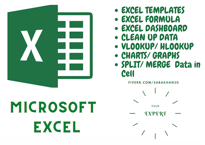 Be expert in excel, microsoft excel, google sheets, vba, formula, charts etc by Sabakhan30 | Fiverr