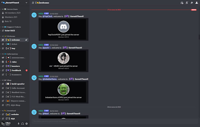Develop a discord server for you by Xpanzerxttv | Fiverr
