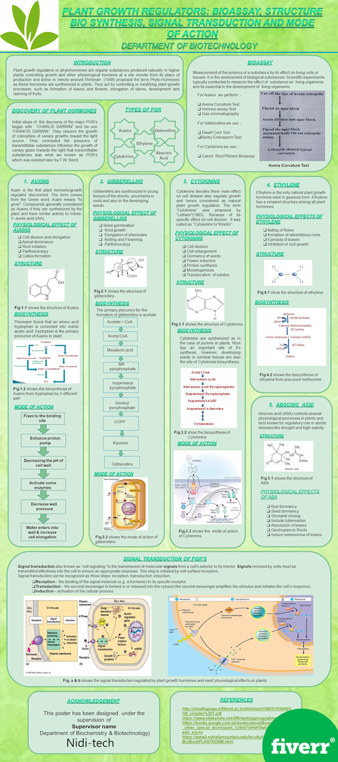 Design academic, conference, or any infographics poster by Niditech01 ...